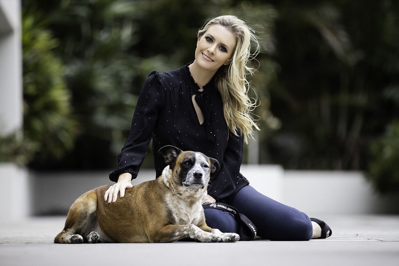 Effective campaign strategies can create lasting social change. Here's ...