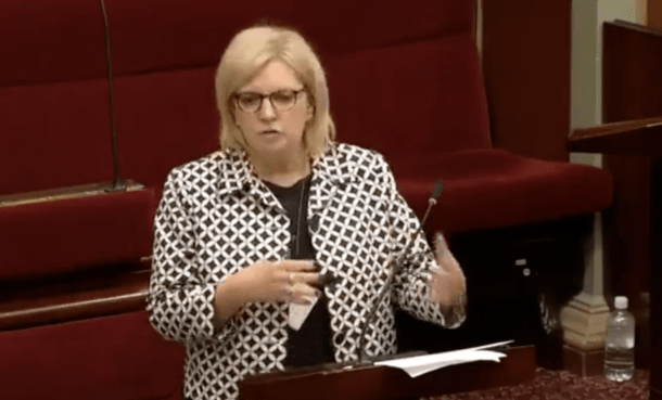 Liberal MP Wendy Lovell comes under fire for social housing comments