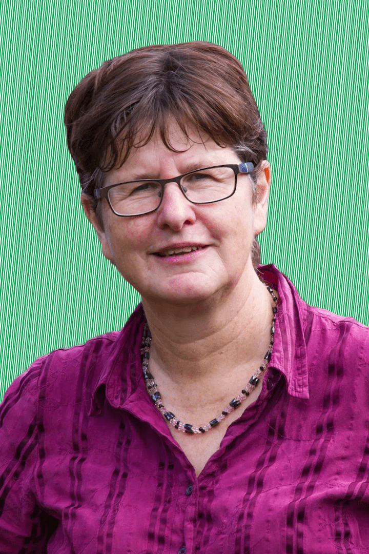 Liz Chase's Instagram, Twitter & Facebook on IDCrawl