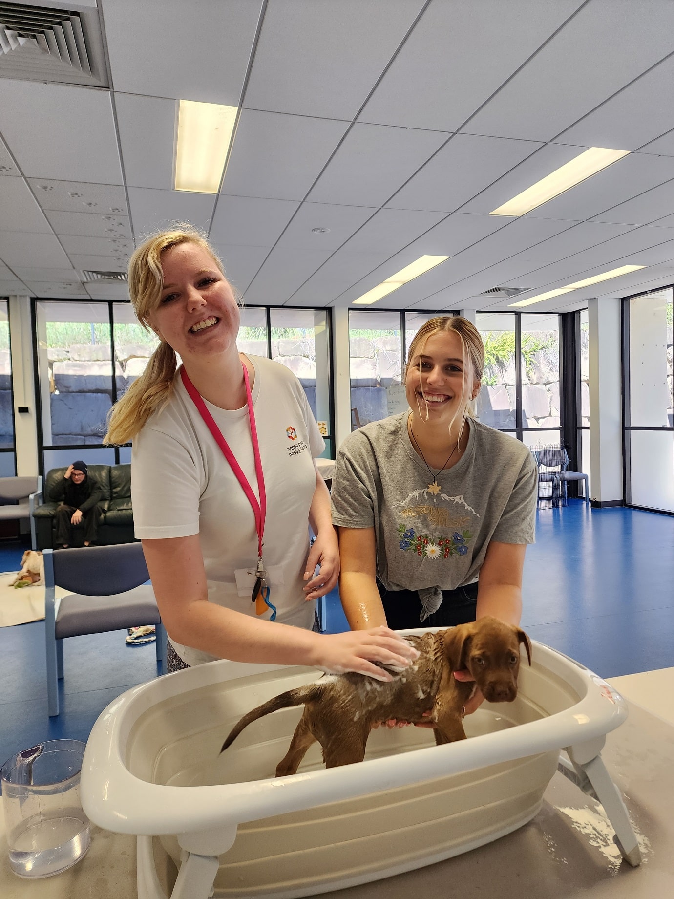 How this animal rescue program helped a young stroke survivor