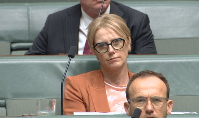 Zoe Daniel and Rosie Batty call for urgent action to prevent men's violence