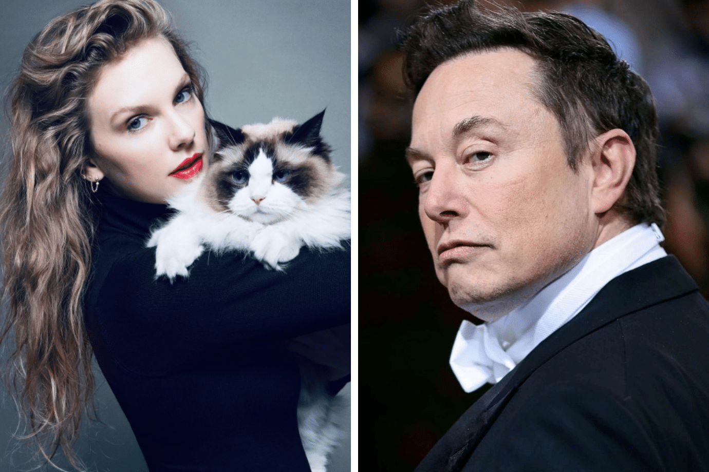 Elon Musk slammed for 'creepy' comment directed at Taylor Swift