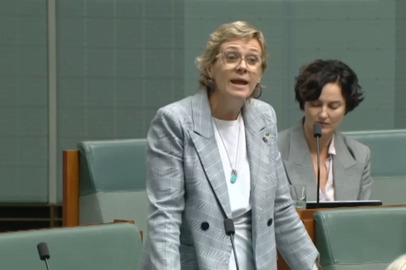 Zali Steggall calls out 'threat' from Nationals leader David Littleproud