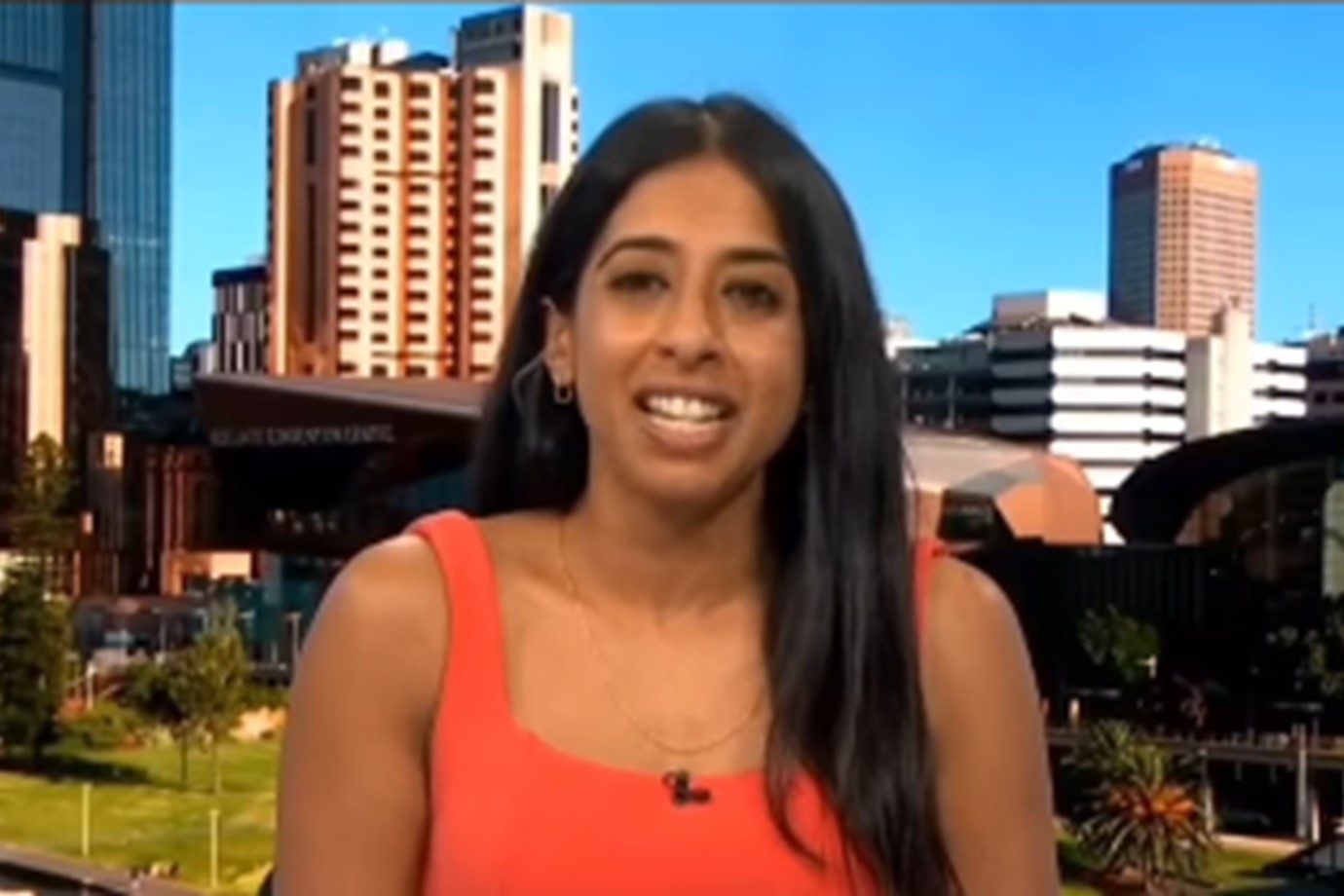 Joanna Howe banned from South Australia's upper house