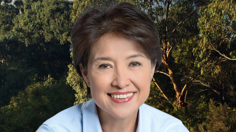 Independent Stella Yee brings 'care and attention' to politics