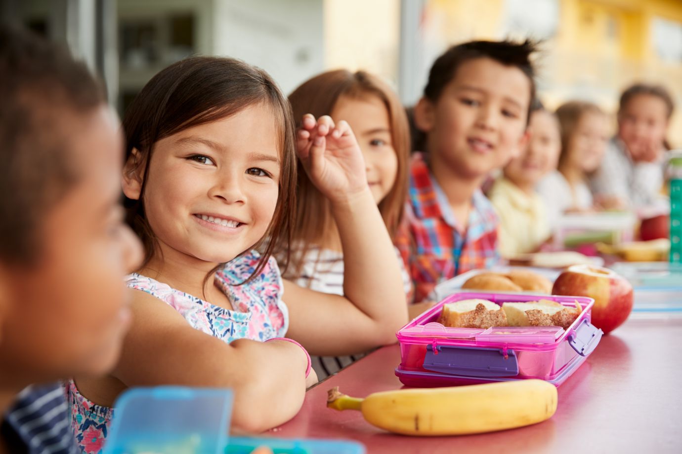 How much would you pay for school to provide your child with lunch ...