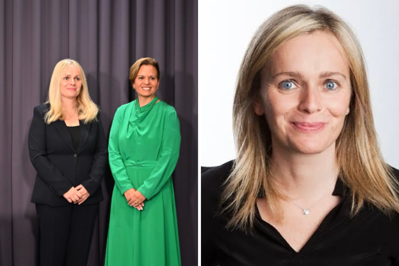 Ruth Higgins appointed first female Solicitor-General